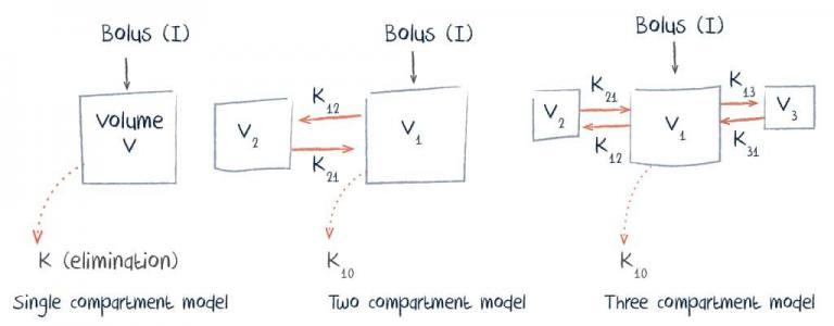 Vancomycin loading dose - the pharmacokinetics to consider