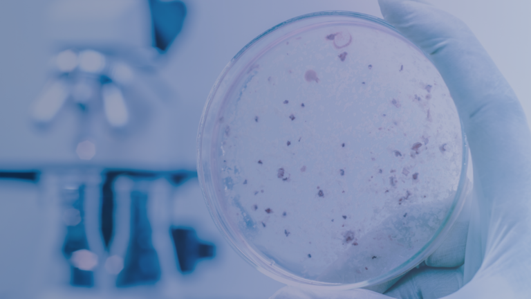 DoseMeRx • The #1 Trusted Bayesian Dosing Platform